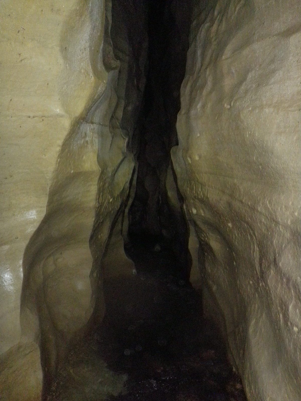 Exploring Cave Stream – Ruth and Eric's Adventures